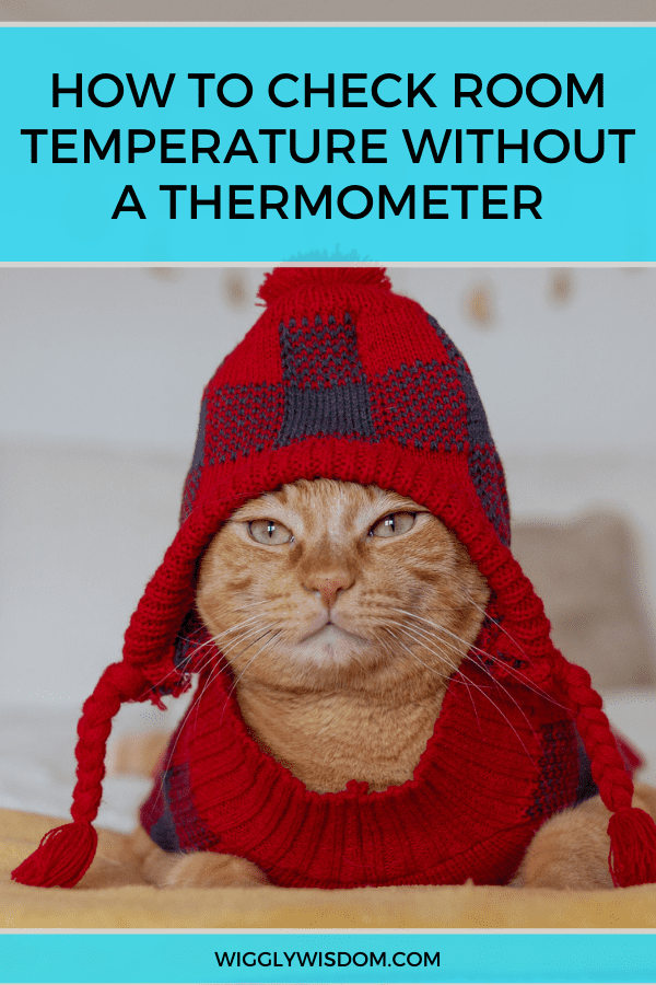 How To Check Room Temperature Without A Thermometer And Is It Accurate 