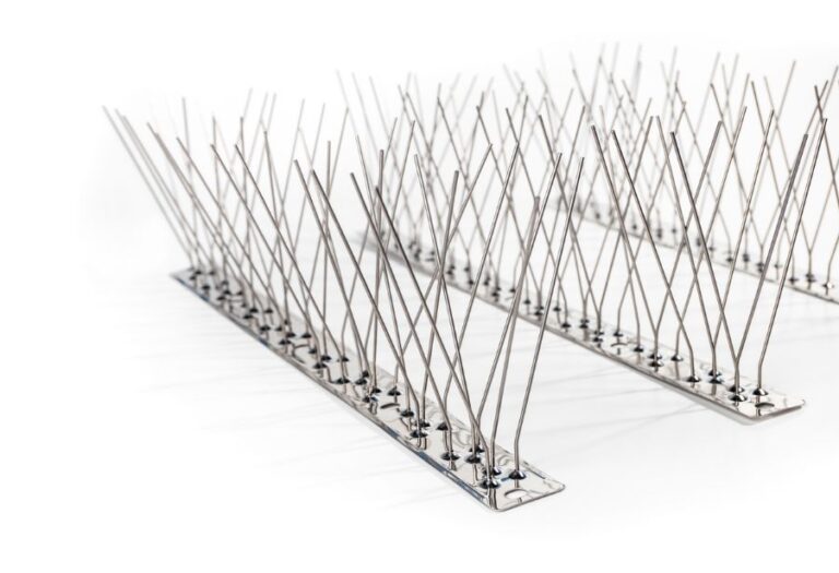 8 Great Ways to Keep Pigeons Off Your Balcony - wigglywisdom.com