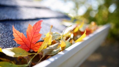 6 Smart Ways to Keep Leaves Out of Your Gutters - wigglywisdom.com